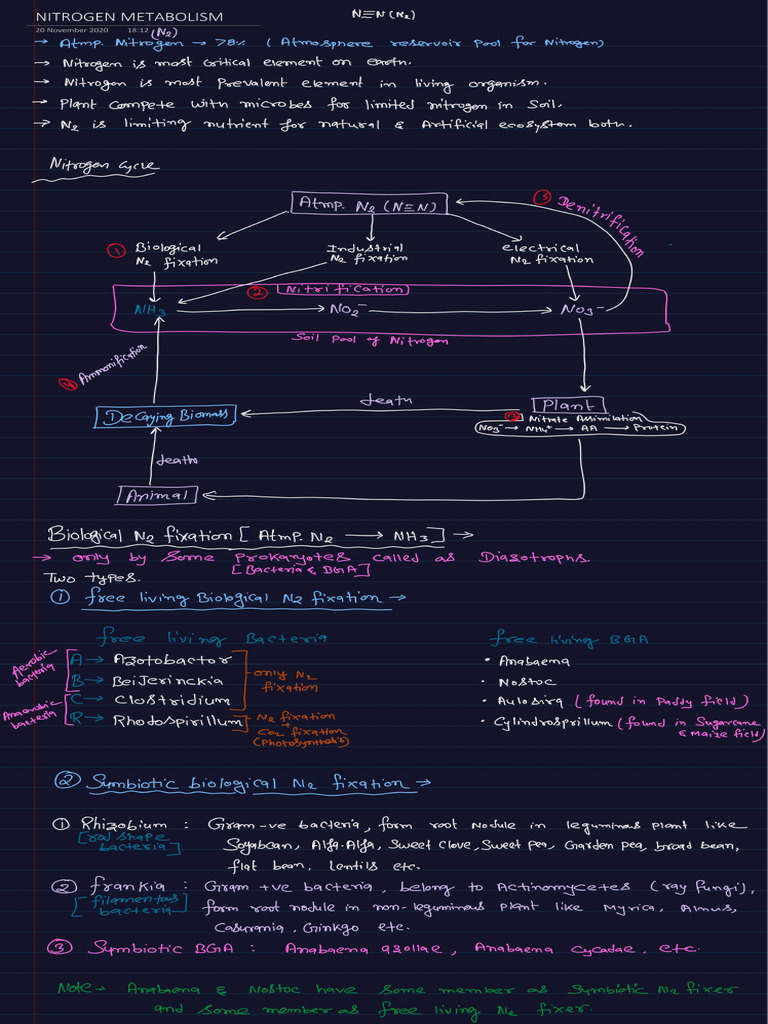 DOC-20241117-WA0045 | PDF