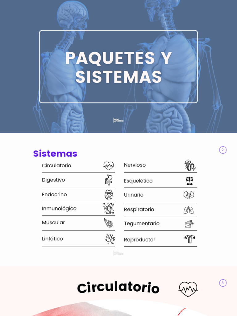 Paquetes y Sistemas | PDF | Anatomía | Órgano (anatomía)