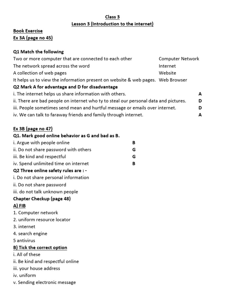 Class 3 L-3 Introduction To The Internet) | PDF | Internet | World Wide Web