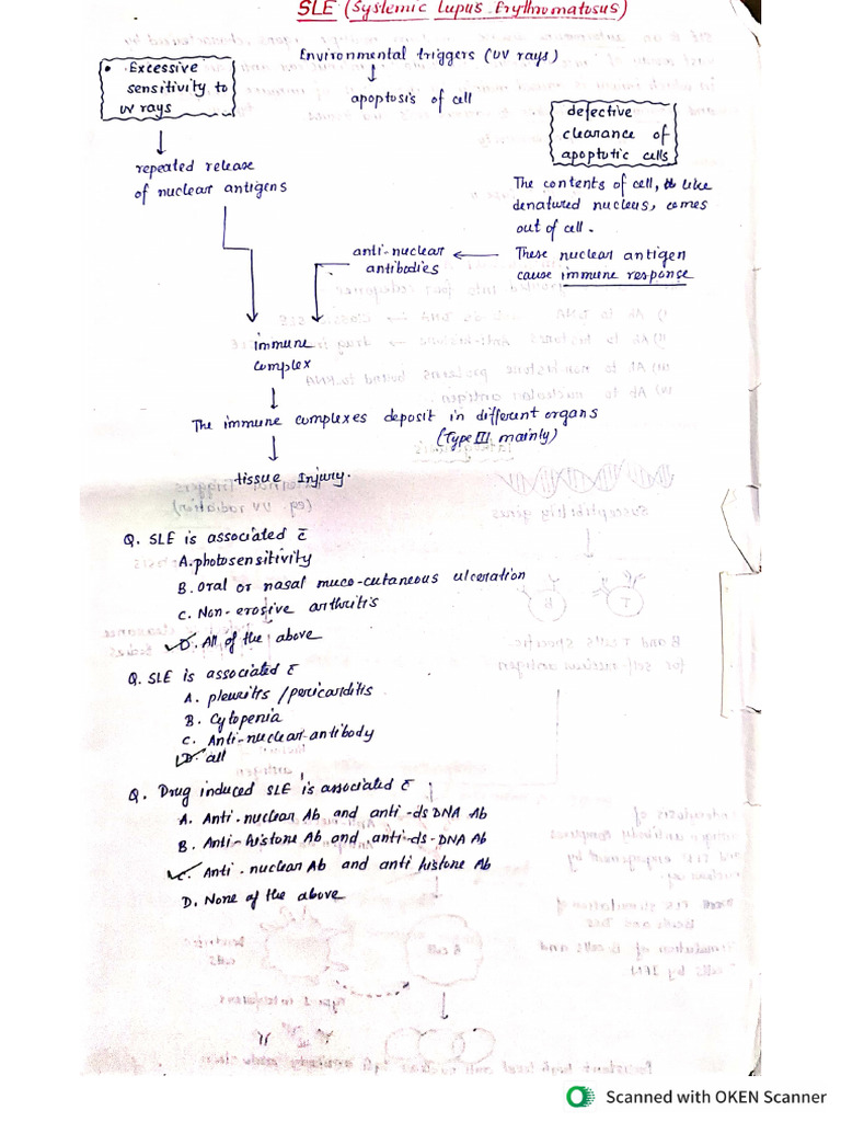 SLE and Amyloidosis | PDF