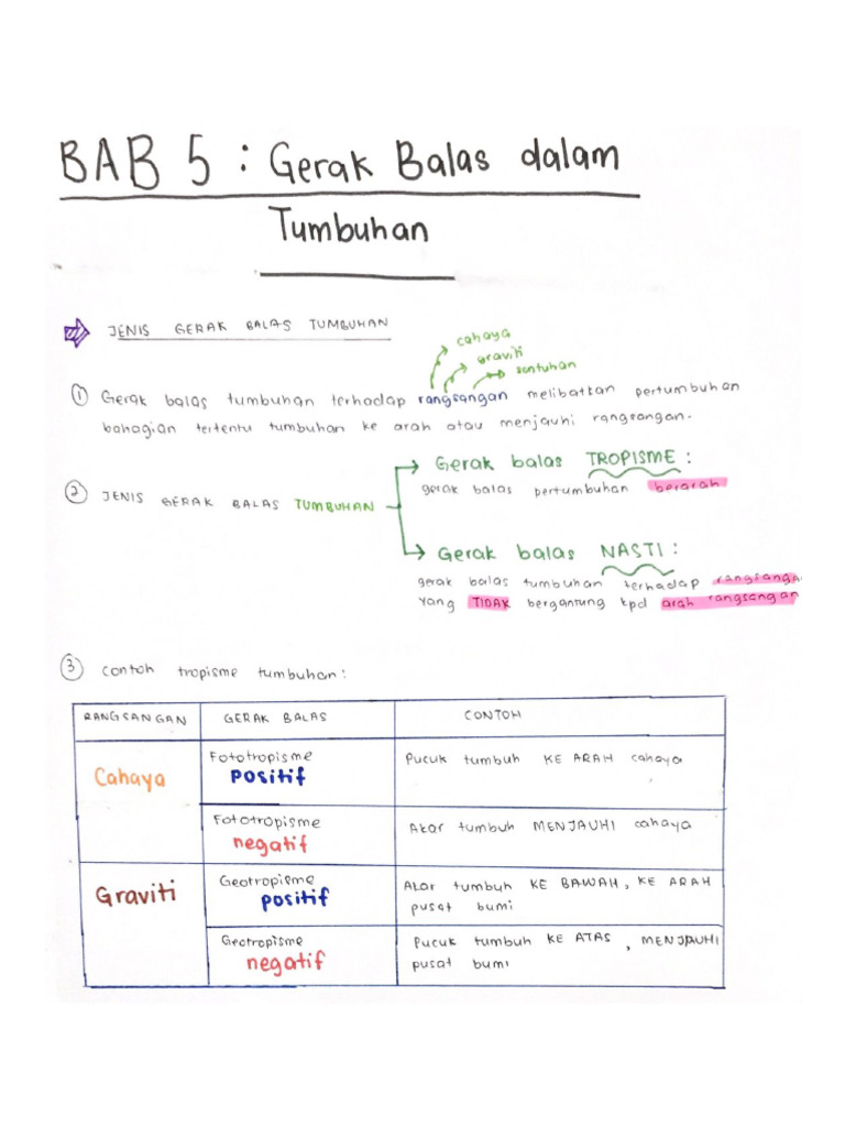 Gerak Balas dalam Tumbuhan (5.1) Form5 | PDF