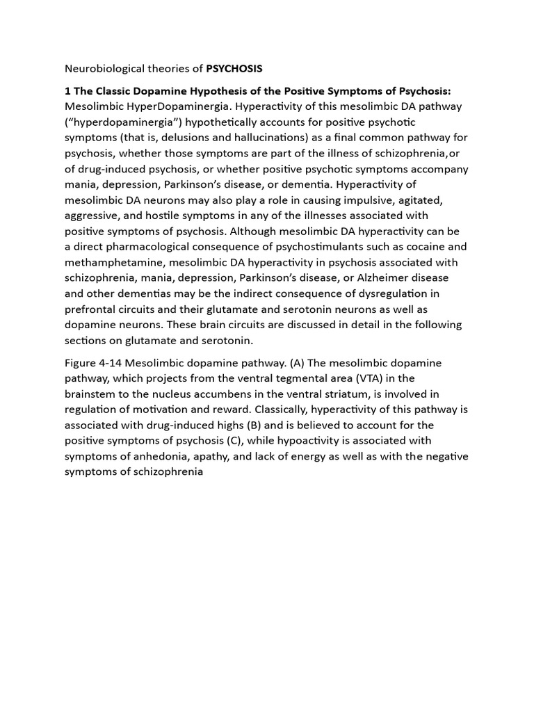 Neurobiological theories of different disorders | PDF | Dopamine ...