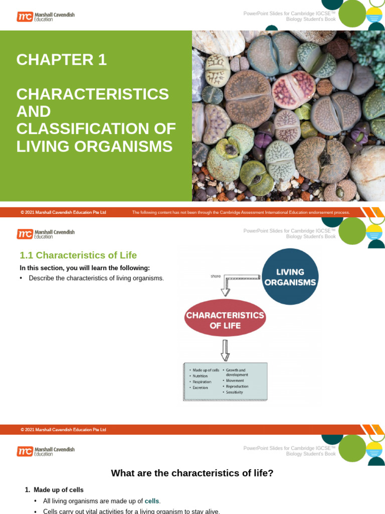 MCE IGCSE Biology PPT C01 | PDF | Excretion | Nutrition
