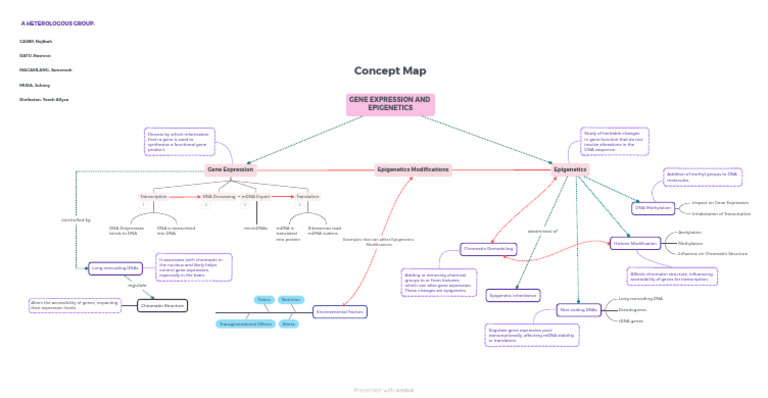 Concept Map | PDF | Gene Expression | Gene