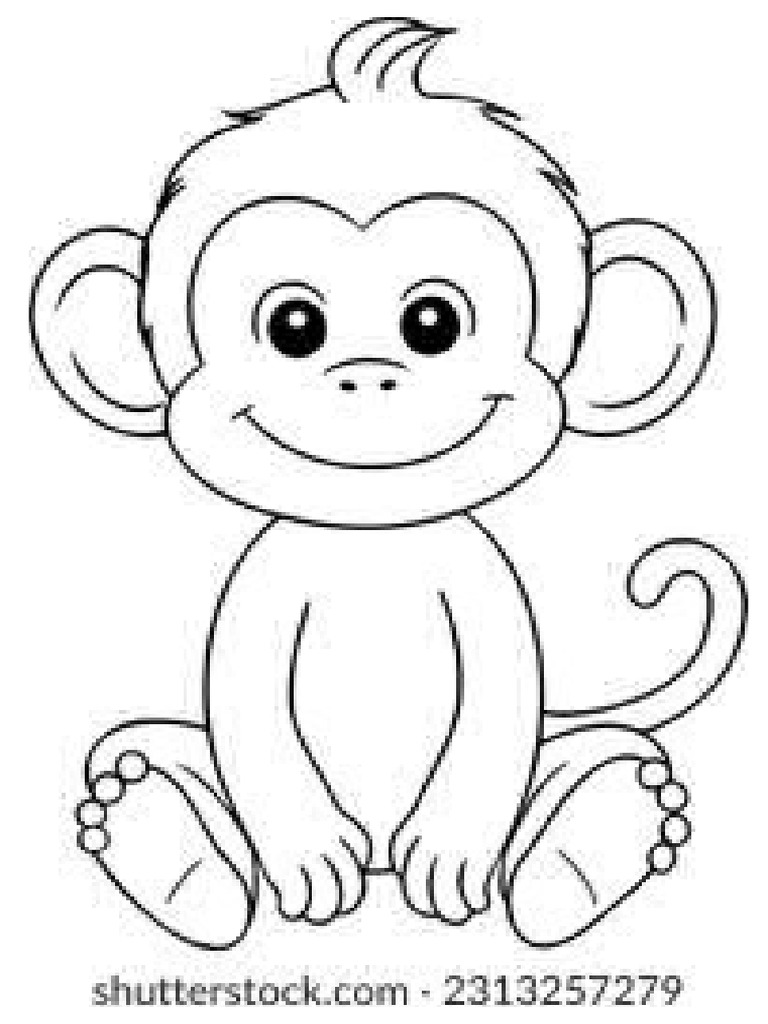 Monkey | PDF