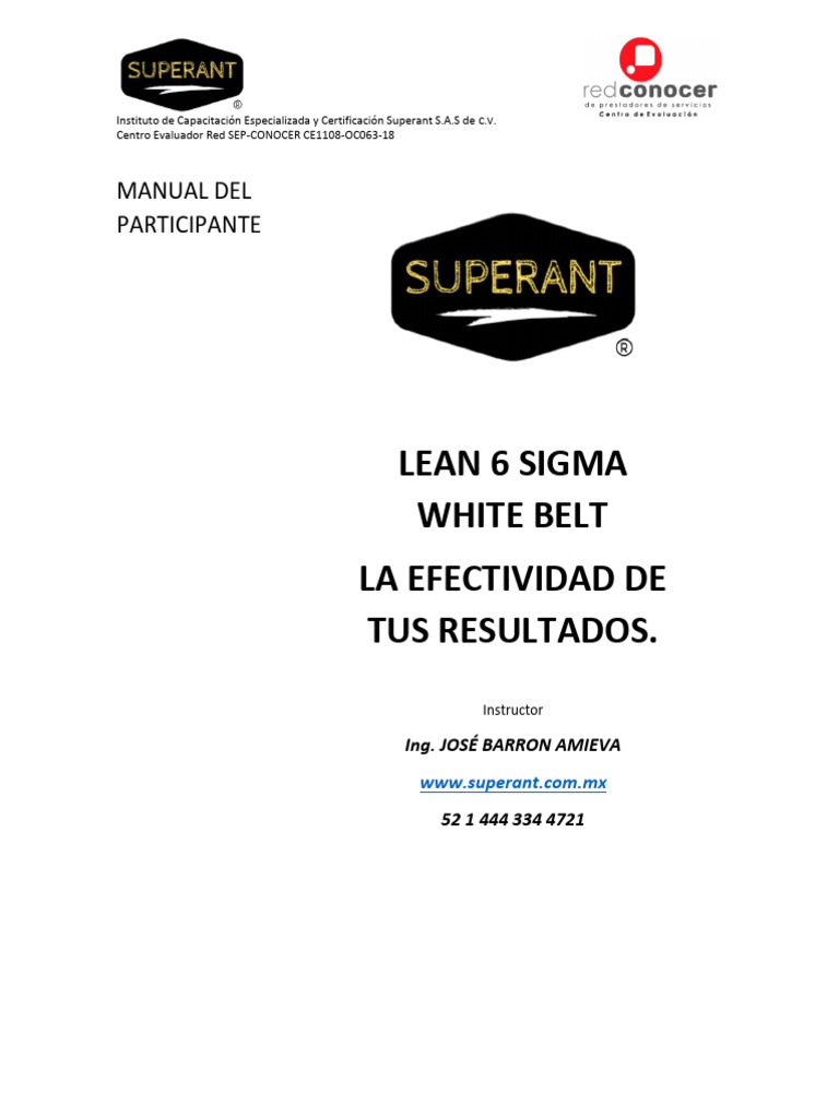 Curso Lean 6 Sigma White Belt | PDF | Six Sigma | Economias