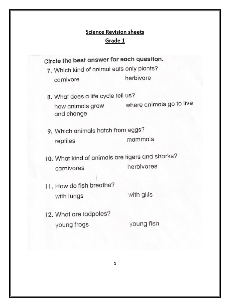 Science Revision Sheets | PDF