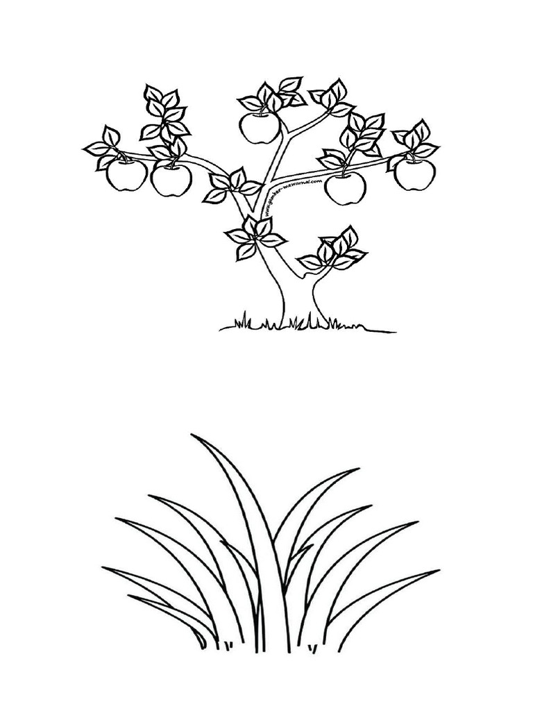 Ida Mewarnai Rumput | PDF