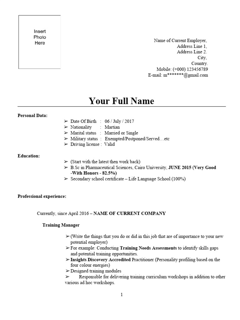 CV_Template | PDF | Computing