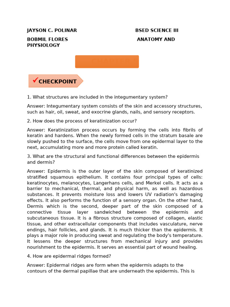 POLINAR_HUMAN ANATOMY CHAP. 5 | PDF | Skin | Epidermis