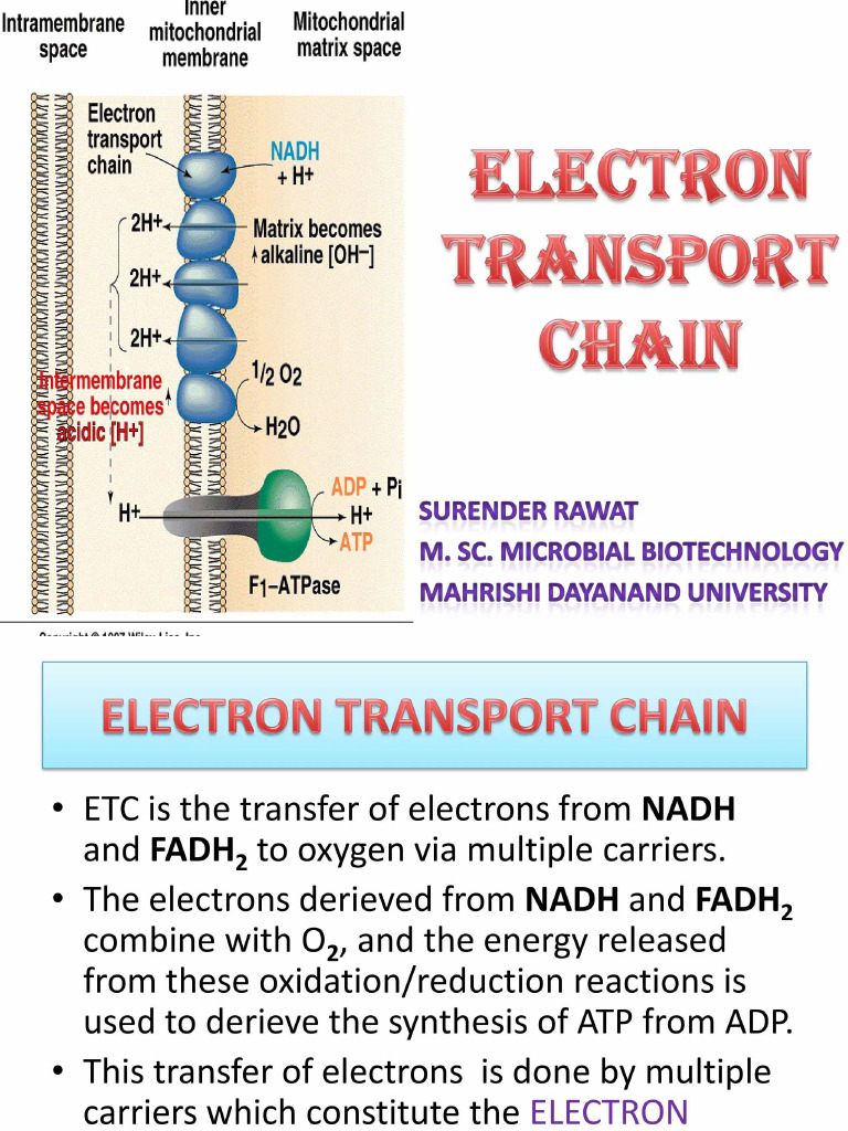 Ab310cb3 Cf5a 4454 9476 Ef4be3a | PDF