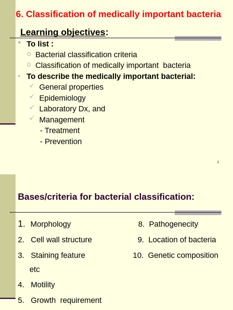 Medicaly Important Bacteria 4 | PDF | Staphylococcus Aureus | Bacteria
