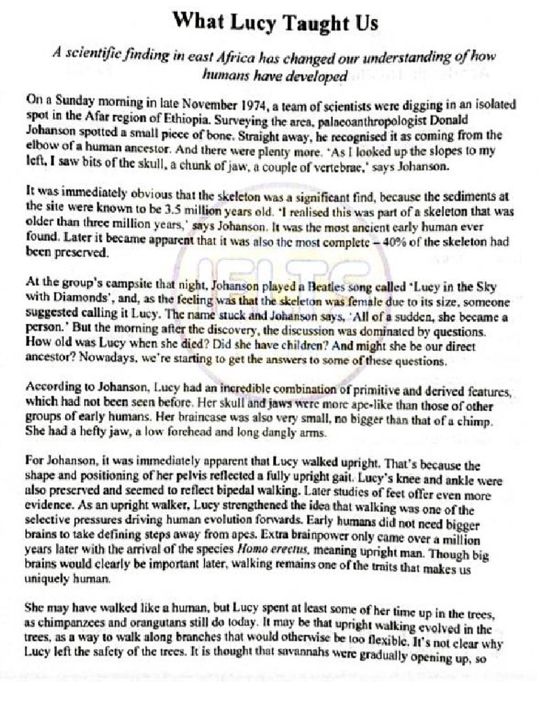 Reading Passage 1 What Lucy Taught Us | PDF