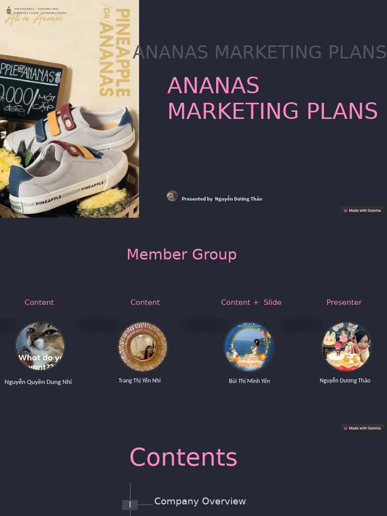 Ananas Marketing Strategy Overview | PDF | Brand | Marketing
