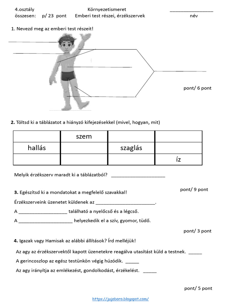 Az Emberi Test Részei, Érzékszervek - Kisdolgozat | PDF