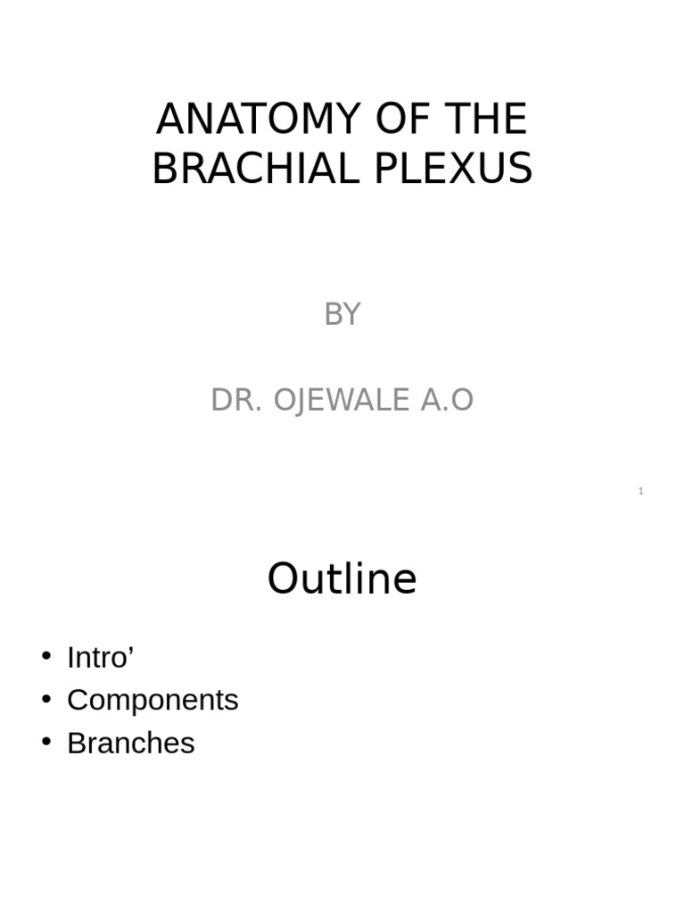 Anatomy of The Brachial Plexus | PDF | Arm | Human Anatomy