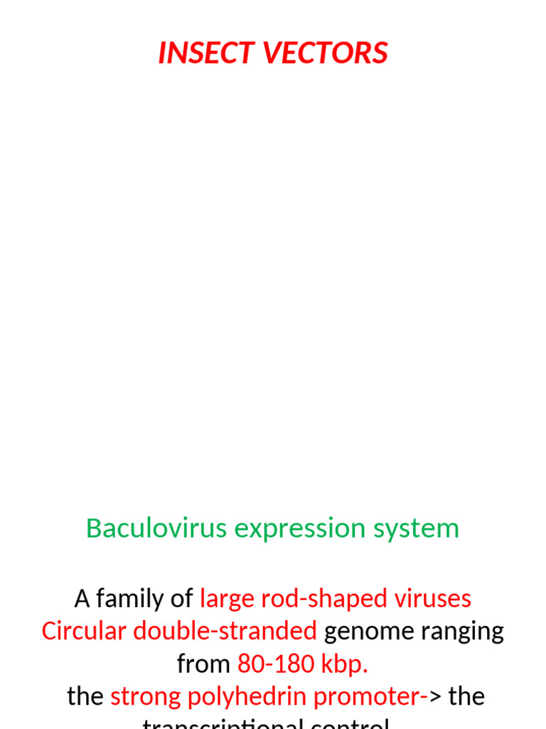 Baculo Viral Vector Edted | PDF | Vector (Molecular Biology ...