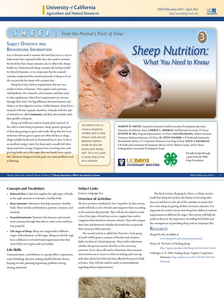 Sheep Nutrition | PDF | Foods | Sheep