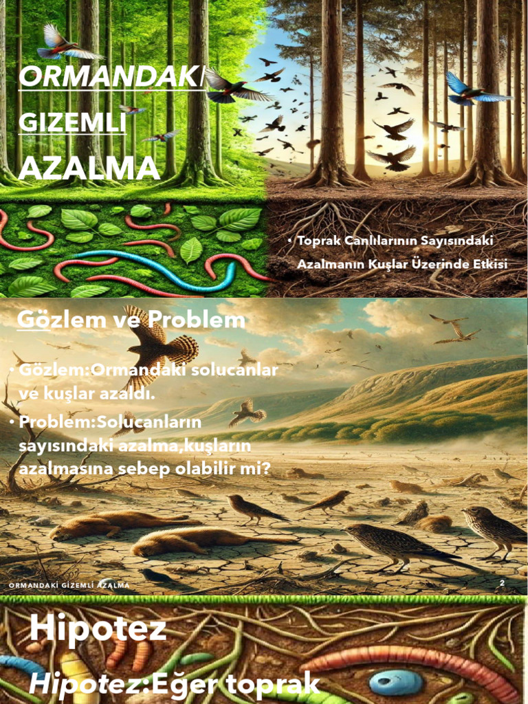 Presentation 2 | PDF