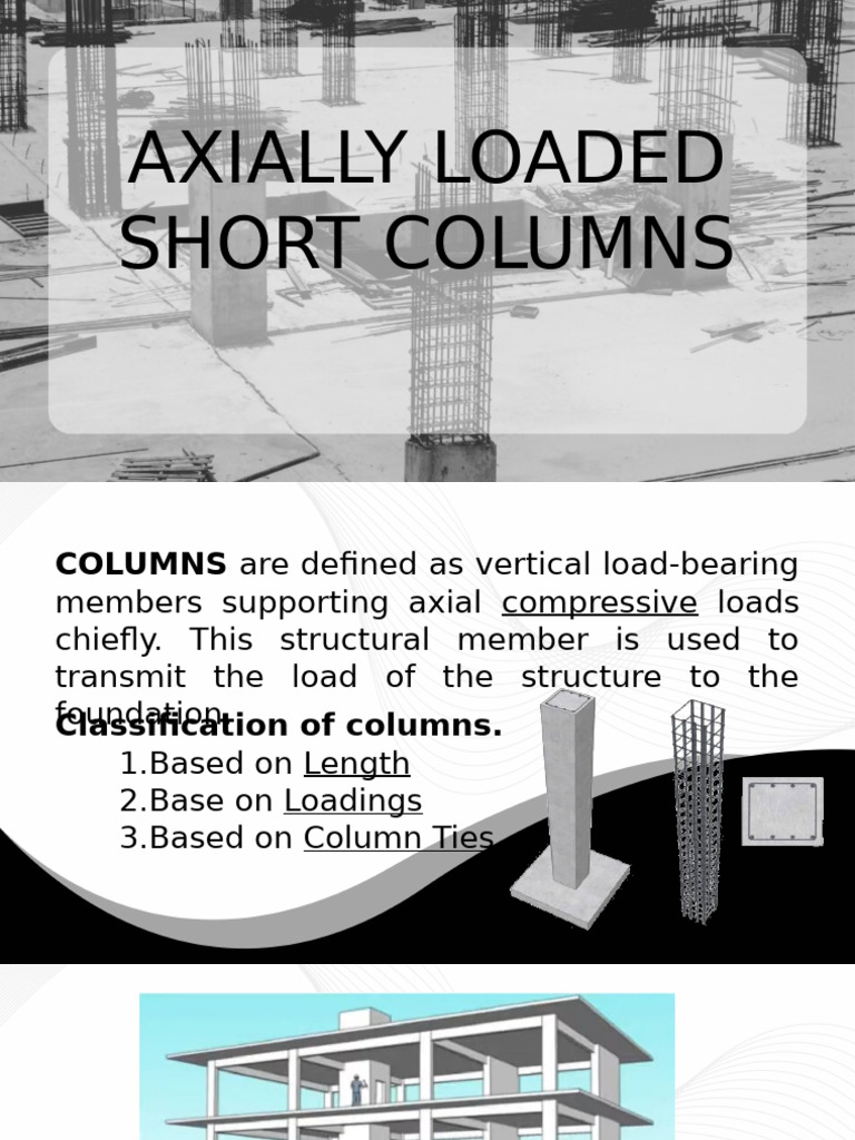 Axially Loaded Columns | PDF | Column | Structural Engineering