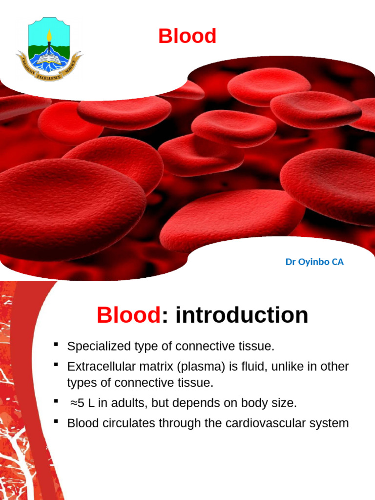 Blood & Immune System Anatomy | PDF | Immune System | Innate Immune System