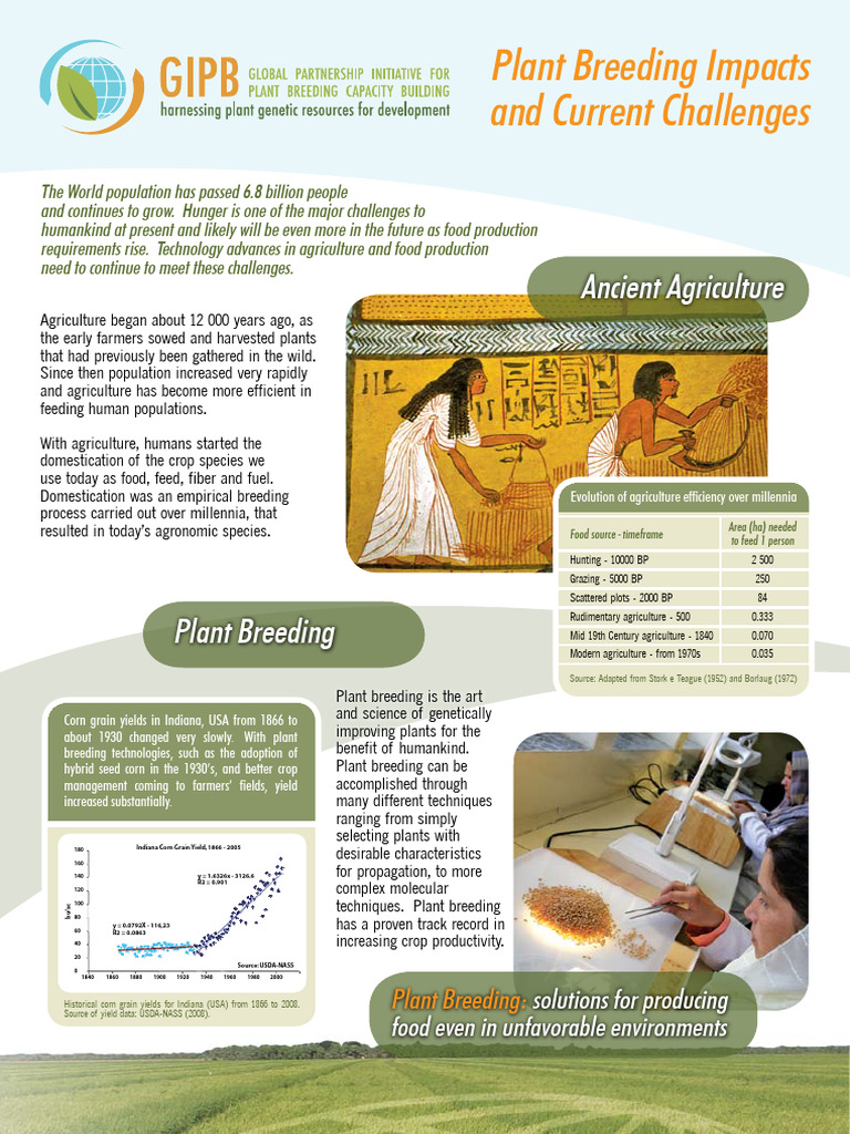 Plant Breeding Impact and Chalenge | PDF | Agriculture | Plant Breeding