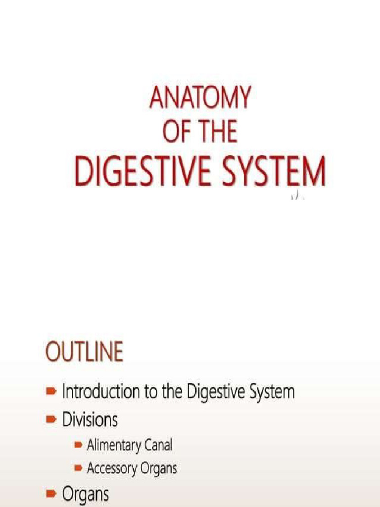Anatomy of The Digestive System | PDF