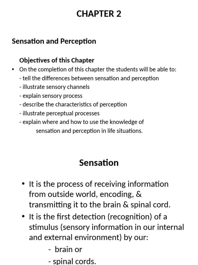 Chapter 2 (3) | PDF | Senses | Perception