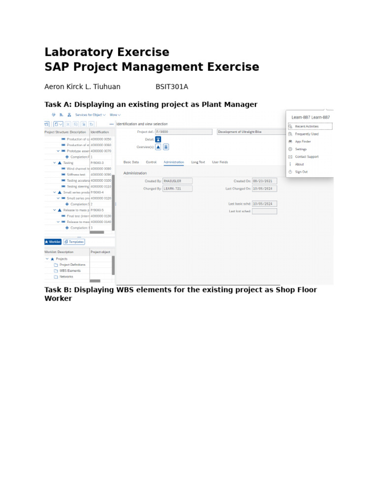 SAP Project Management Exercise Guide | PDF