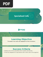 Specialised Animal Cells - Living Organisms - KS3 Biology - BBC ...