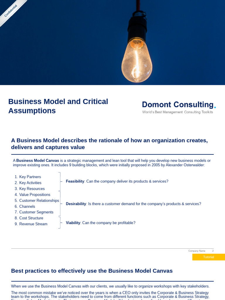 Business_model_and_critical_assumptions | PDF | Business Model | Marketing