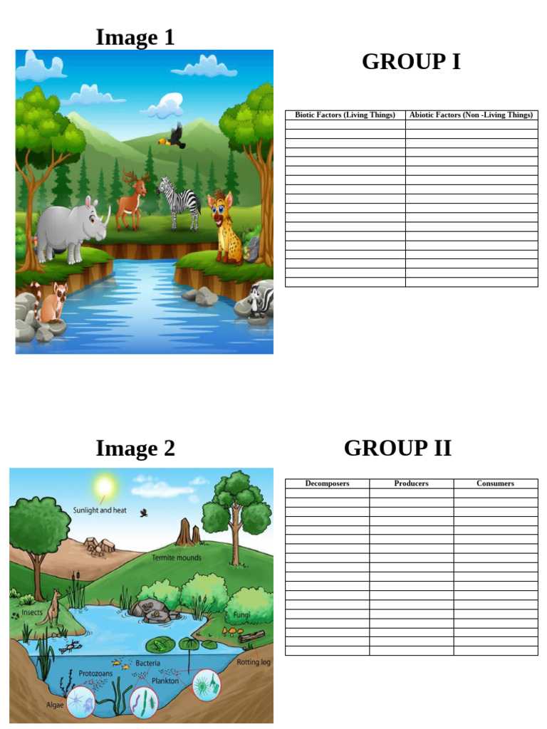Students Activity | PDF