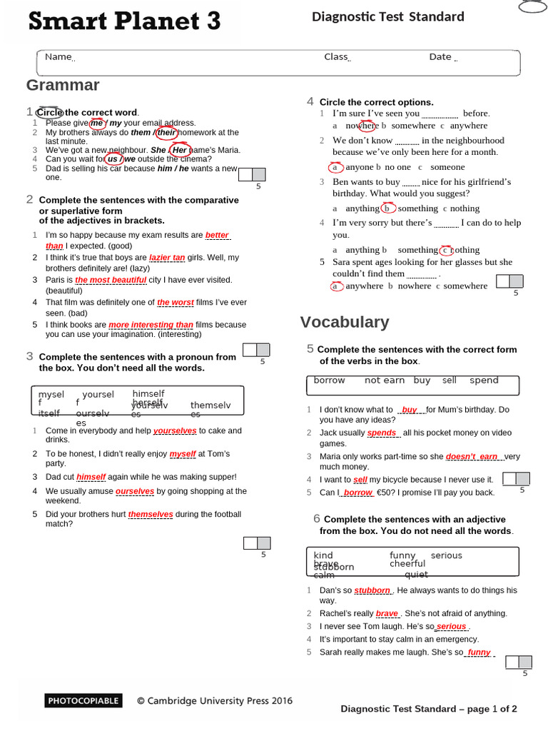 Beginner's Diagnostic Test Guide | PDF