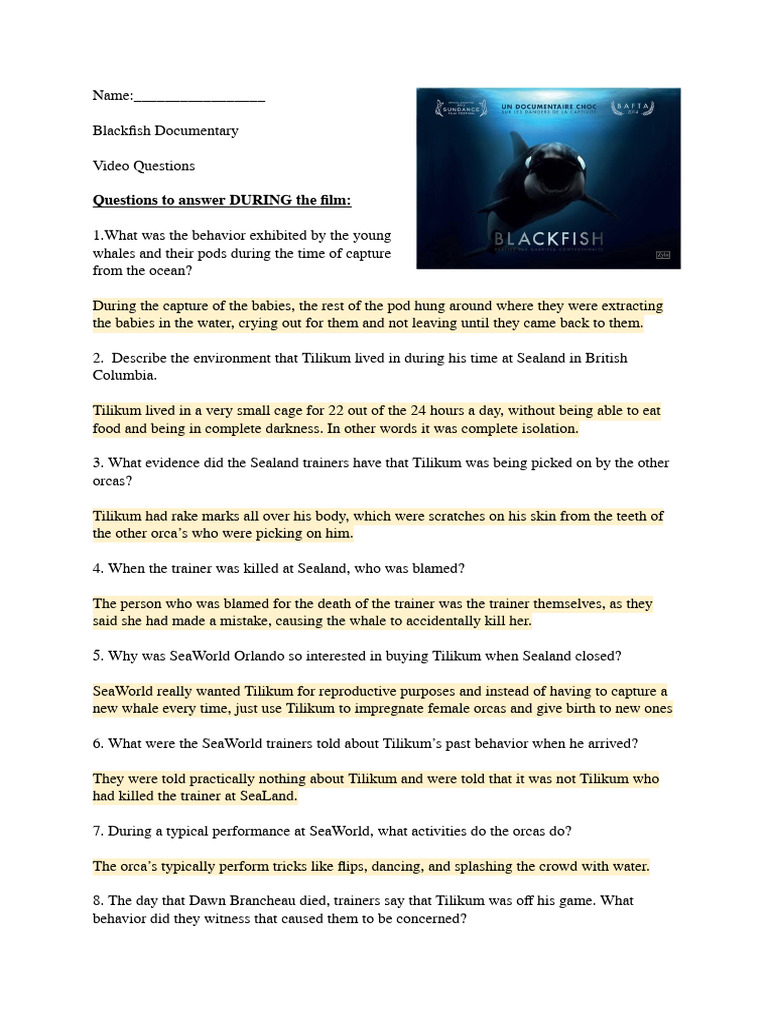 Blackfish Documentary | PDF | Sea World