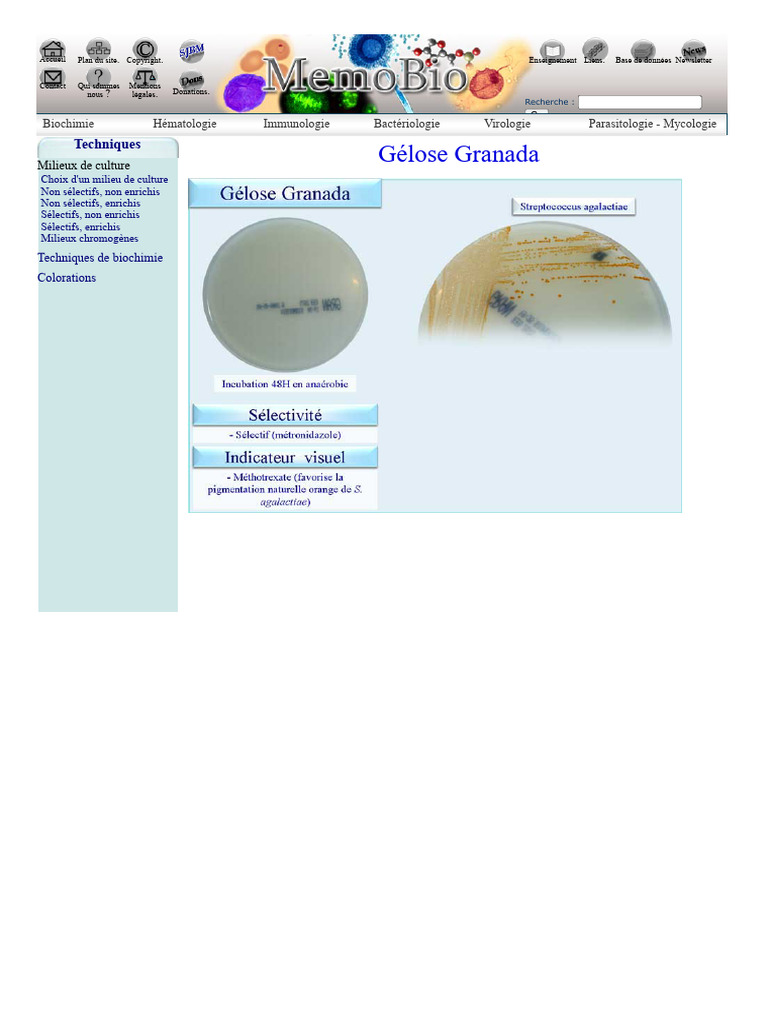 Gélose Granada | PDF