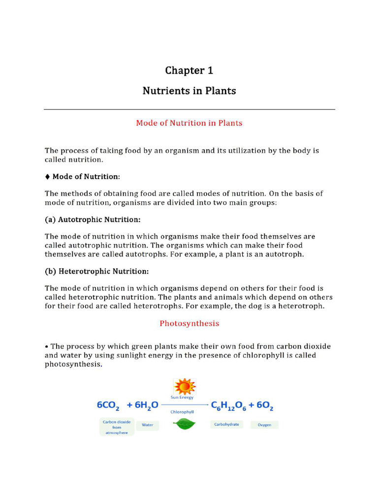 NCERTSTUDY Notes for Class 7-2. Science-Ch 01 Nutrients in Plants | PDF