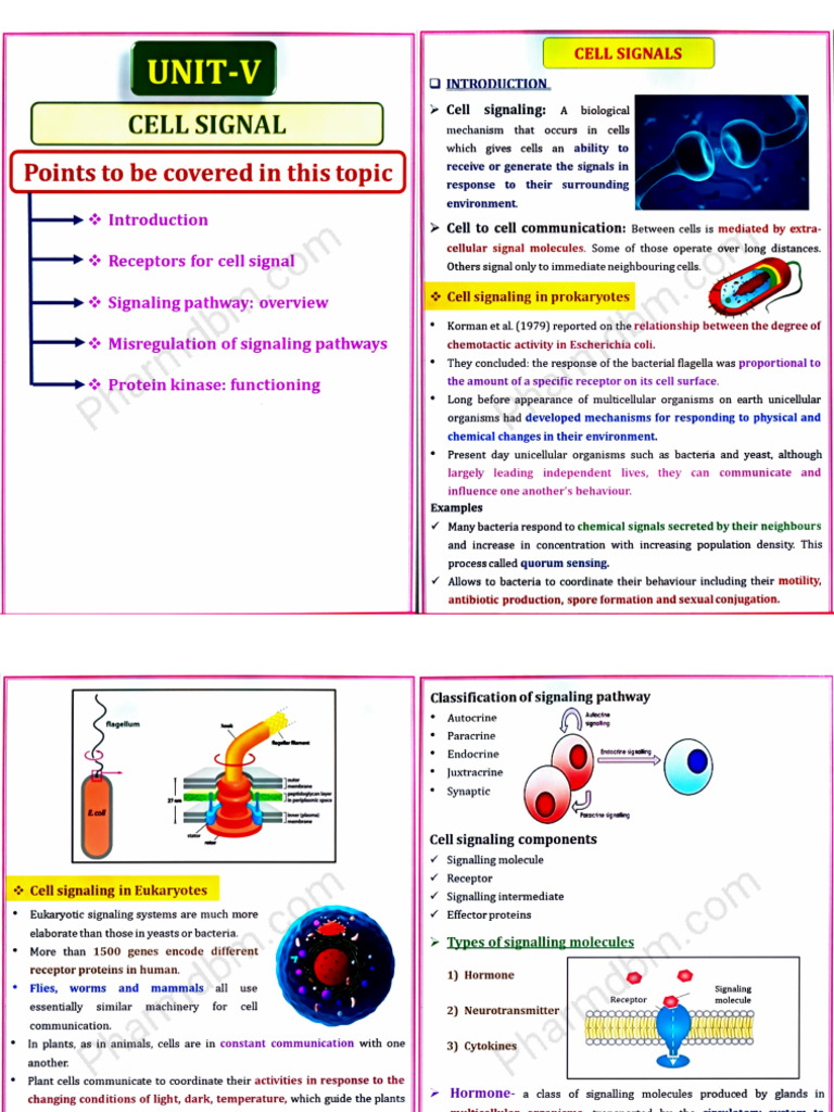 Cell and Molecular Biology Unit 5 | PDF