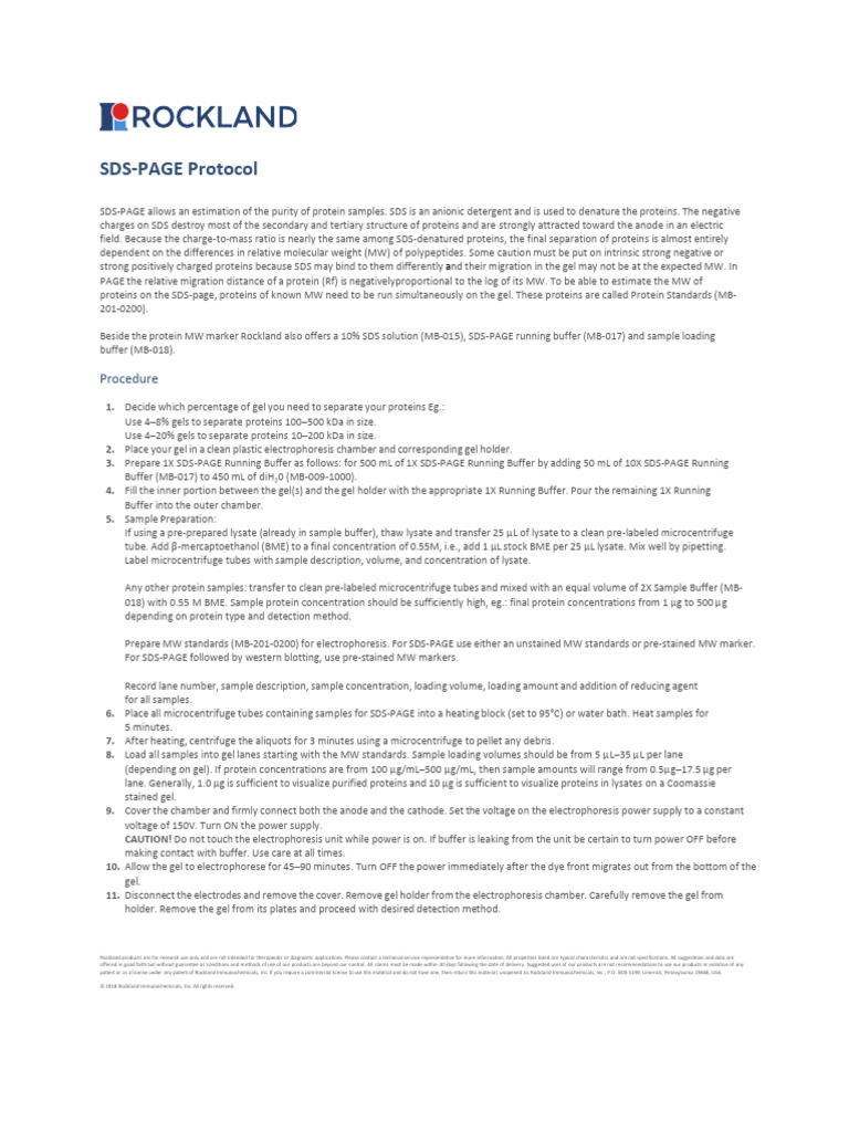 sds-page-protocol | PDF | Polyacrylamide Gel Electrophoresis | Gel ...