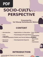 Hall's Cultural Dimensions Explained | PDF