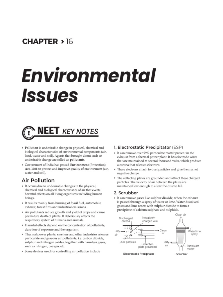 Environmental Issues | PDF | Greenhouse Effect | Particulates