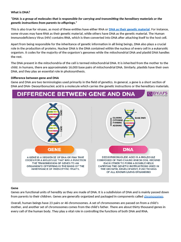 What is DNA | PDF | Dna | Dna Replication