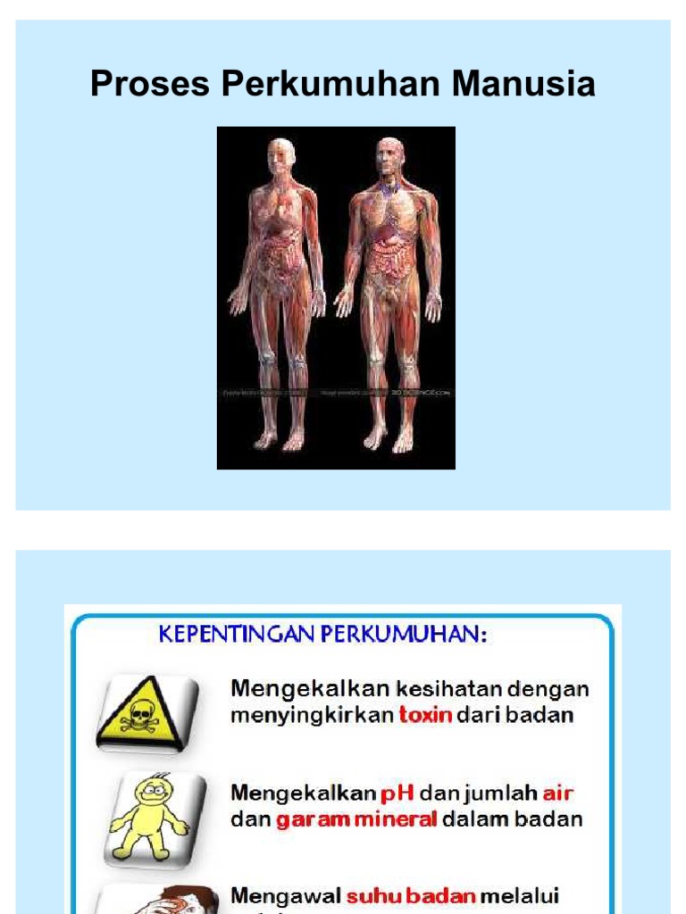 Proses Perkumuhan Manusia | PDF