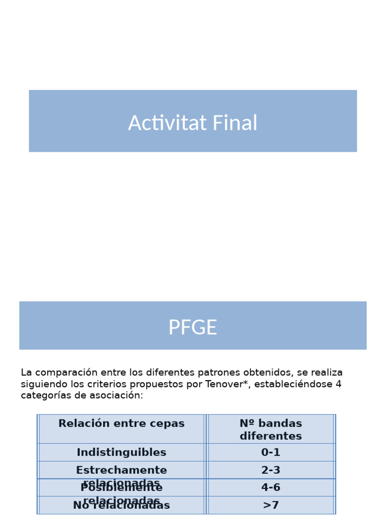 Activitat Final CV | PDF
