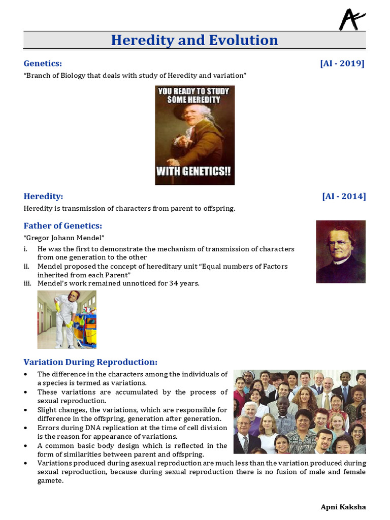 Heredity and Evolution Notes | PDF | Dominance (Genetics) | Zygosity