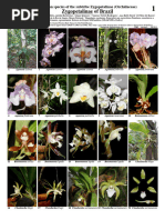 4w's Canva and Template | PDF | Usability | Waste