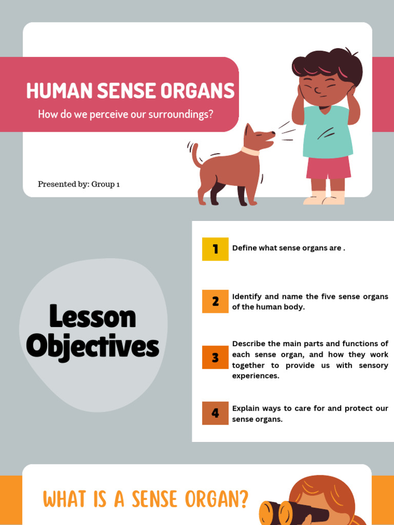 NONO Group 1 1st Topic Human Sense Organs | PDF | Ear | Skin