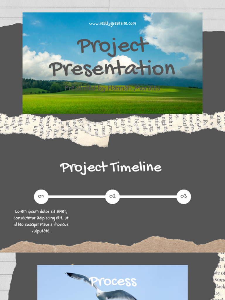 Presentation 20241207 145230 0000 | PDF