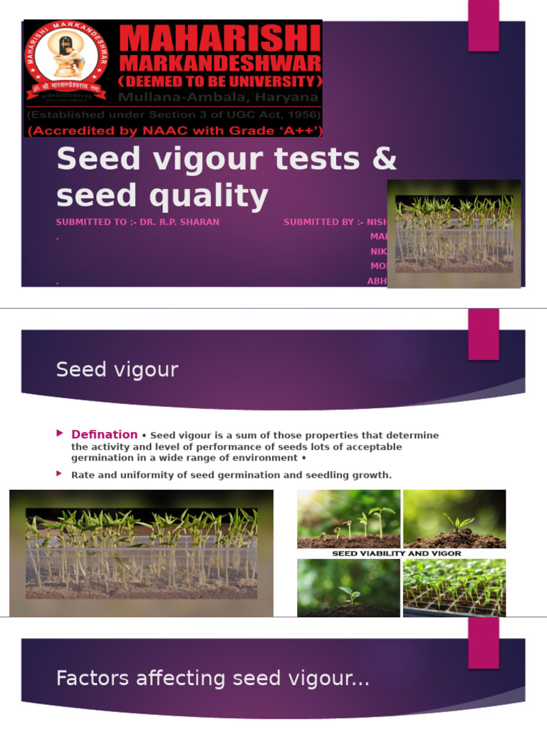 Seed Vigour Tests and Seed Quality (Group-2) | PDF | Seed | Germination