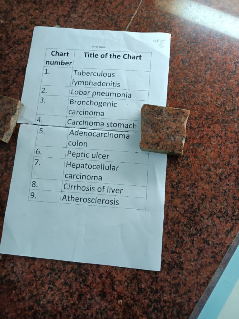 Patho Charts With Answers | PDF | Cancer | Causes Of Death