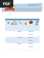 Muscular System Kahoot Questions | PDF | Skeletal Muscle | Muscle ...